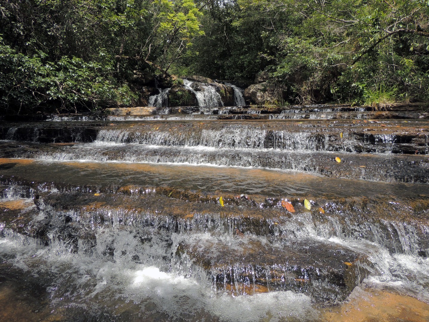 Conheça Buritis: a cidade de belas paisagens - TV Rio Preto Buritis