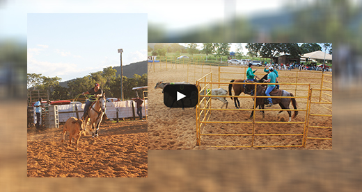 Rancho Prime promove Bolões de Team Roping e Team Penning - TV Rio ...